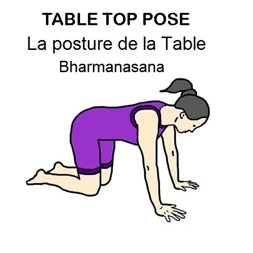 Bharmanasana – La posture de la table – The table top pose – Vivre-Miieux